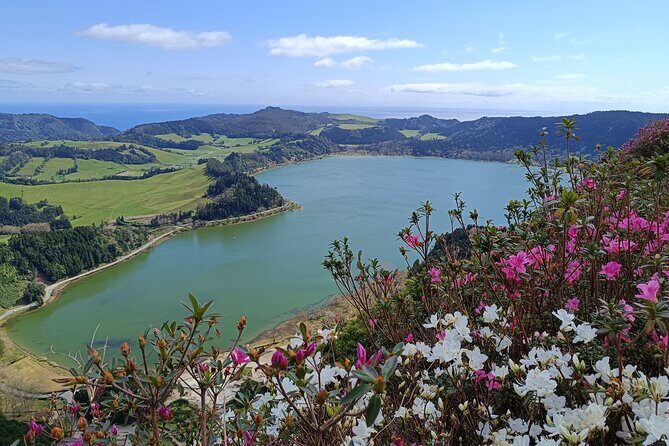 Furnas Vale, Gorreana Tea Factory Private Van Tour - A Complete Guide to the Furnas Vale, Gorreana Tea Factory Private Van Tour