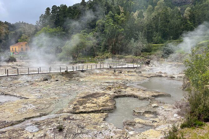 Furnas Vale, Gorreana Tea Factory Private Van Tour - What Travelers Say