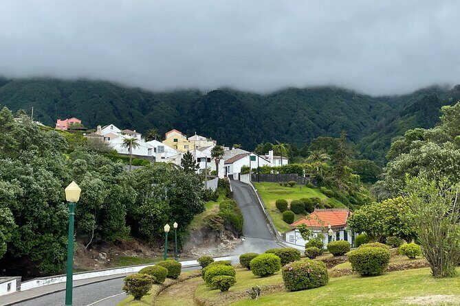 Furnas Vale, Gorreana Tea Factory Private Van Tour - Why This Tour Offers Great Value