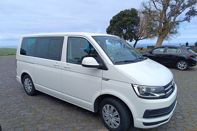 Furnas Vale, Gorreana Tea Factory Private Van Tour - Who Is This Tour Best For?