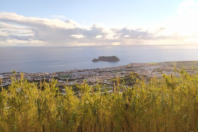 Furnas Volcano & Tea Plantation With Traditional Lunch, East Tour - Who Will Love This Tour?