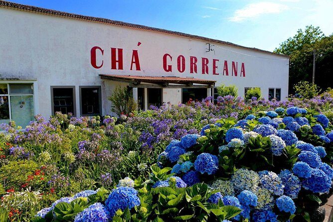 Furnas Volcano & Tea Plantation With Traditional Lunch, East Tour - FAQs