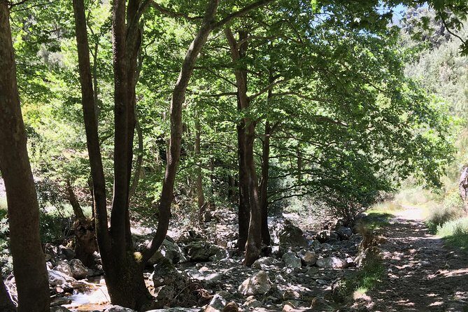 Fygou and Agia Irini Gorge Loop Half Day Hiking Tour - The Itinerary in Detail