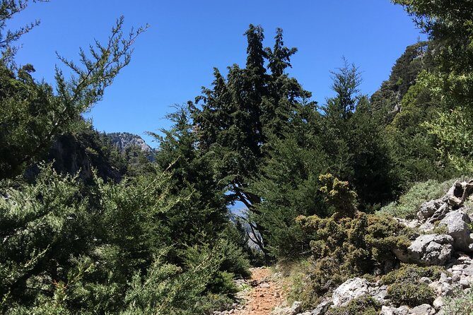 Fygou and Agia Irini Gorge Loop Half Day Hiking Tour - Who Is This Tour Best For?
