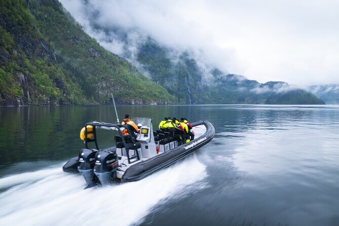 Fyksesund majestic RIB Adventure from Øystese - What Makes This Tour Stand Out?