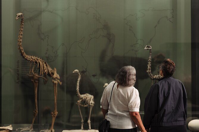 Gallery Highlights Tour and General Admission - Who Should Book This Tour?