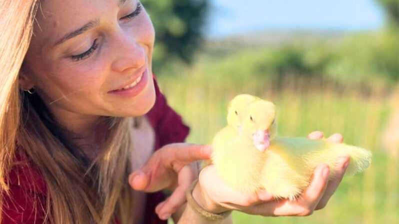 Gallura: Picnic on a Farm with Animals - The Animal Encounters
