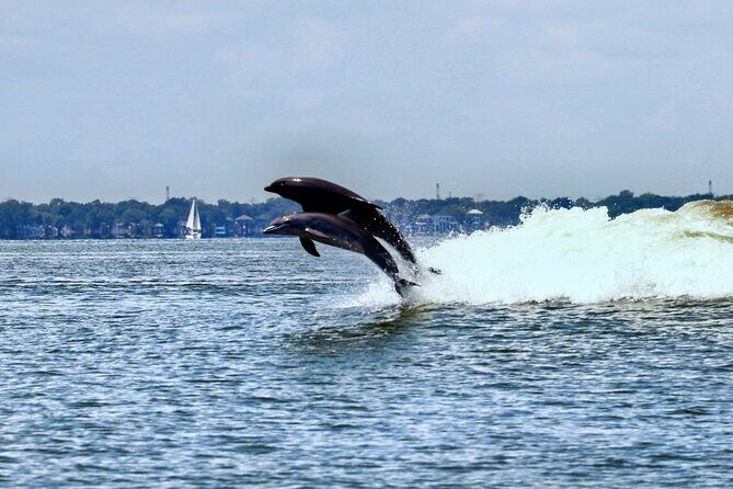 Galveston Day Tour from Houston - In-Depth Look at the Tour Experience