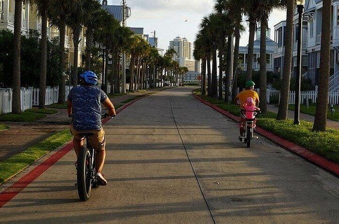 Galveston Island Art & Mural E-Bike Tour - Who Will Get the Most Out of This Experience?