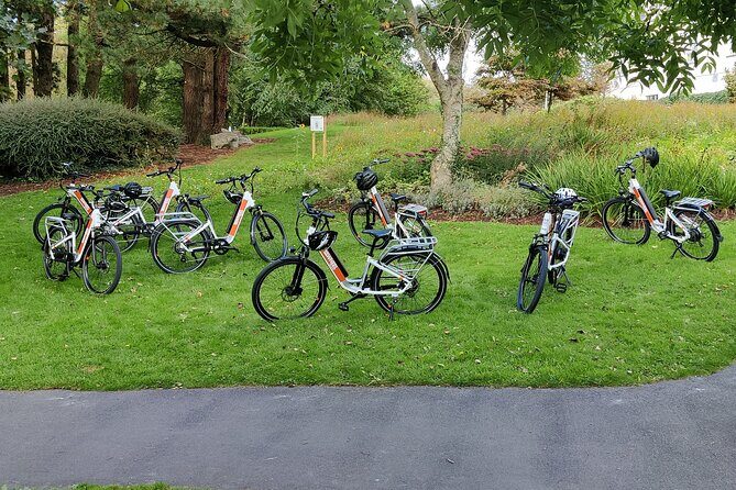 Galway City E-Bike Scavenger Hunt Game - Who Should Consider This?