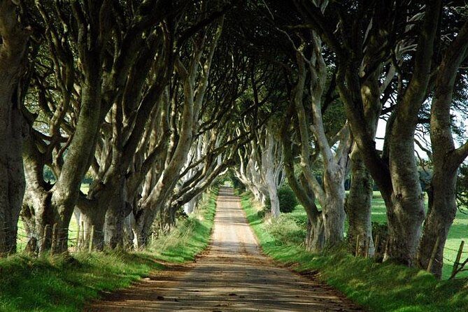 Game of Thrones and Giant's Causeway Day Tour from Belfast - Why This Tour Is a Great Choice