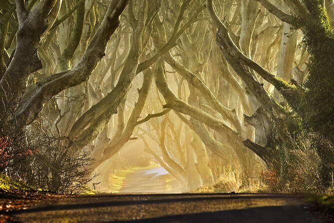 Game of Thrones - Private Audi A6 tour with Richard the Wildling - Who Is This Tour Best For?