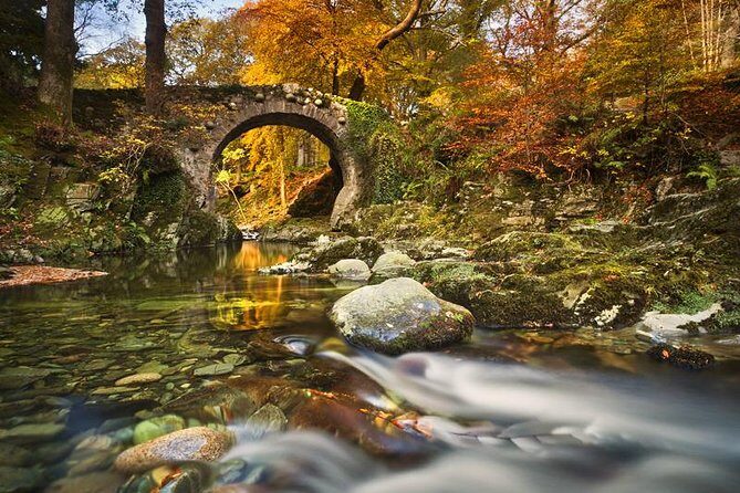 Game of Thrones - Tollymore Forest Trek - Who Will Enjoy This Tour?