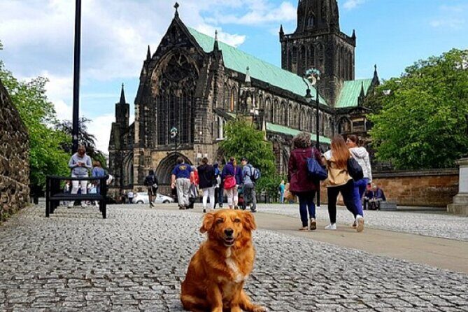 Gander Walking Tours in Glasgow - Why You’ll Love This Tour