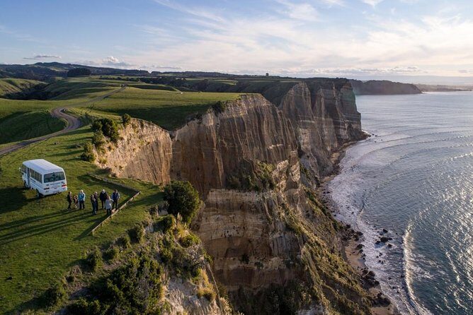 Gannet Safaris Overland tour to Cape Kidnappers Gannet Colony - An In-Depth Look at the Cape Kidnappers Overland Tour