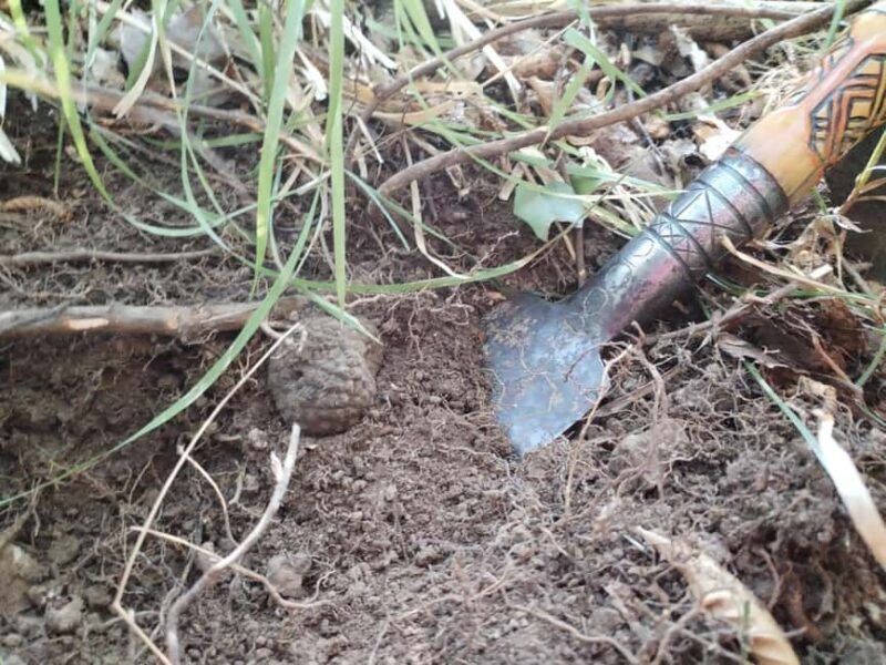 Gaon to Istria: Truffle Hunting, Cooking & Tasting - Additional Offerings & Shopping