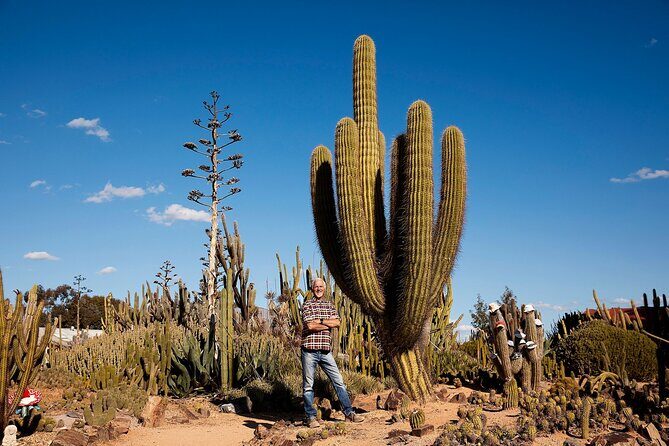Garden Entry Ticket - Shopping and Souvenirs: Bringing a Piece of Cactus Heaven Home