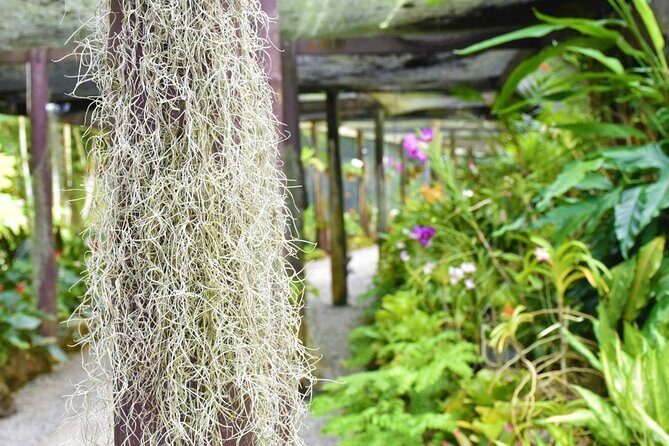 Garden of Sleeping Giant Tour with Tifajek Mud Pool and Hotspring - Final Thoughts