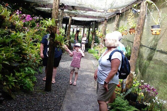 Garden of Sleeping Giant with Sabeto Hotspring Mudpool Tour - Introduction