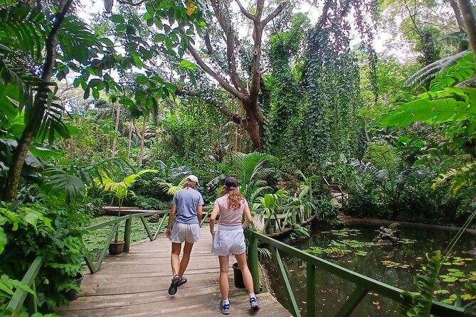 Garden of Sleeping Giant with Sabeto Hotspring Mudpool Tour - The Sum Up