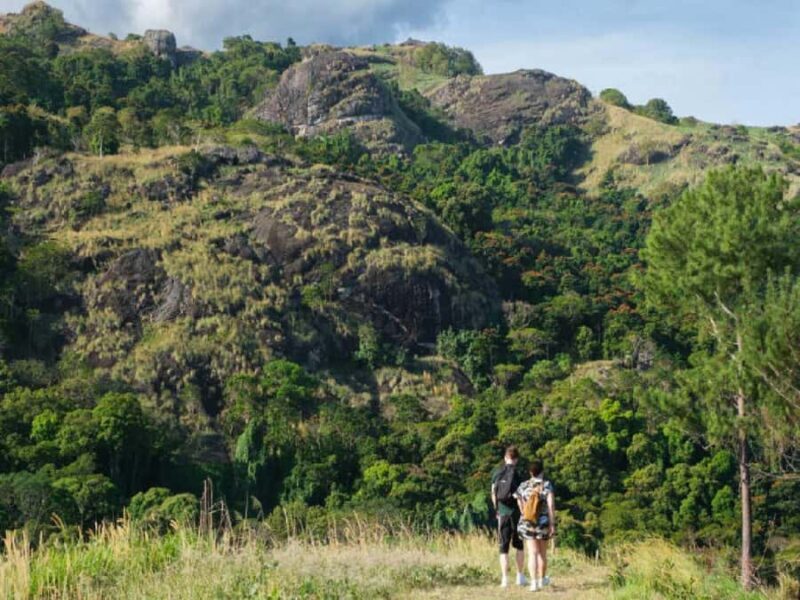 Garden of Sleeping Giant with Tifajek Mudpool Hotspring Tour - Who Would Love This Tour?