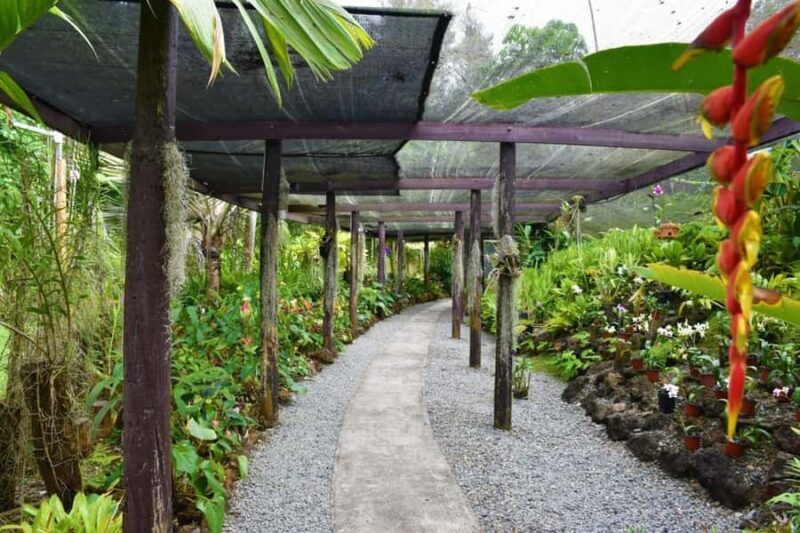 Garden of Sleeping Giant with Tifajek Mudpool Hotspring Tour - Final Thoughts: Is This Tour Worth It?