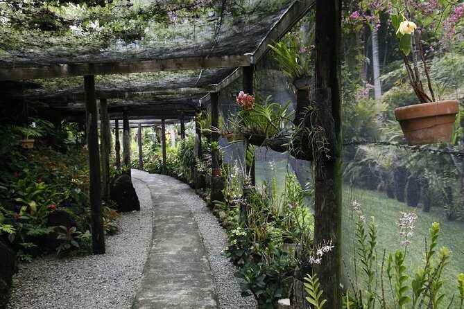 garden of the sleeping giant and mudpool tour combo - Key Points