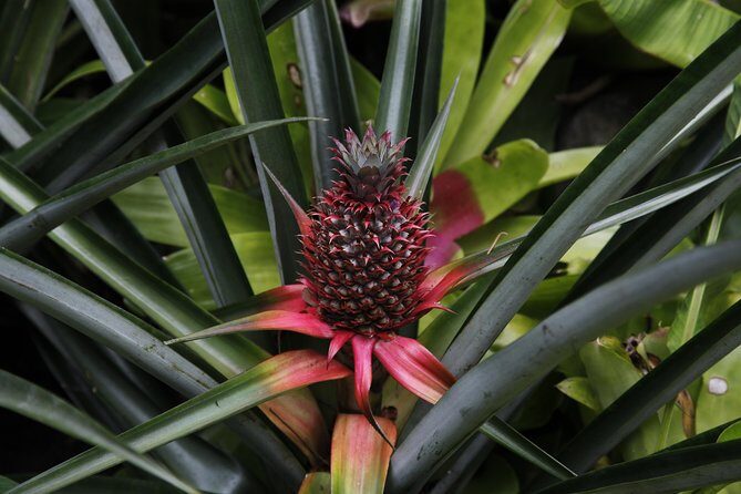 garden of the sleeping giant and mudpool tour combo - Final Thoughts