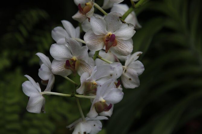 garden of the sleeping giant and mudpool tour combo - Frequently Asked Questions