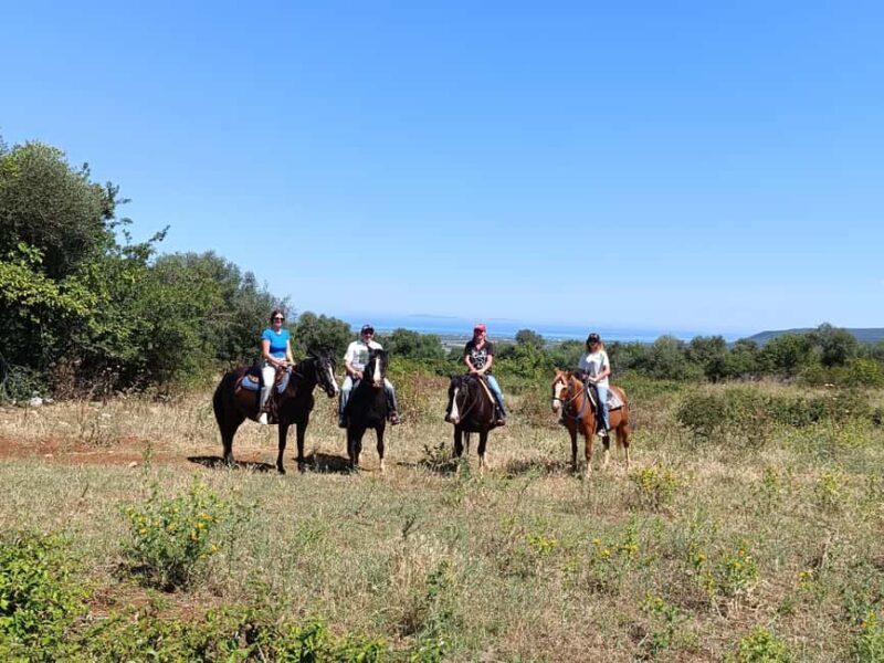 Gargano National Park: a horseback ride - Introduction