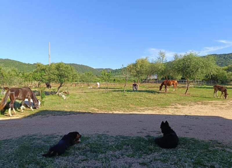 Gargano National Park: a horseback ride - The Itinerary in Detail