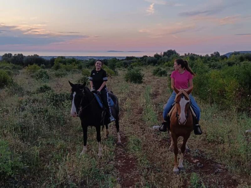 Gargano National Park: a horseback ride - What to Expect During the Ride