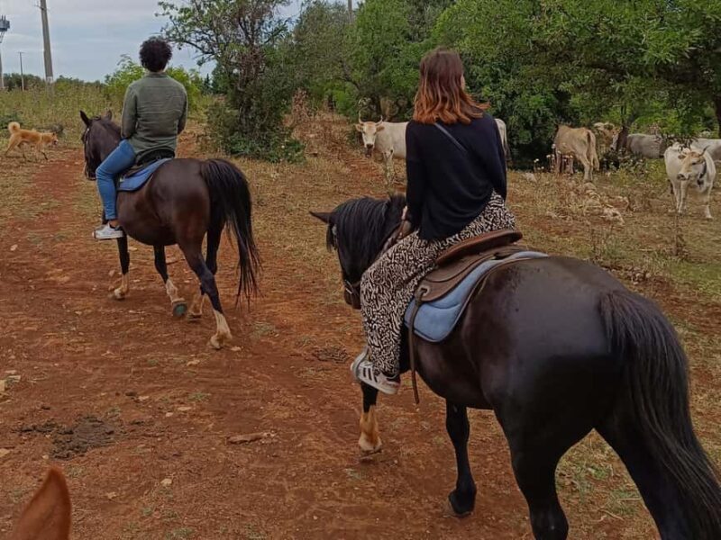 Gargano National Park: a horseback ride - The Scenery and Views