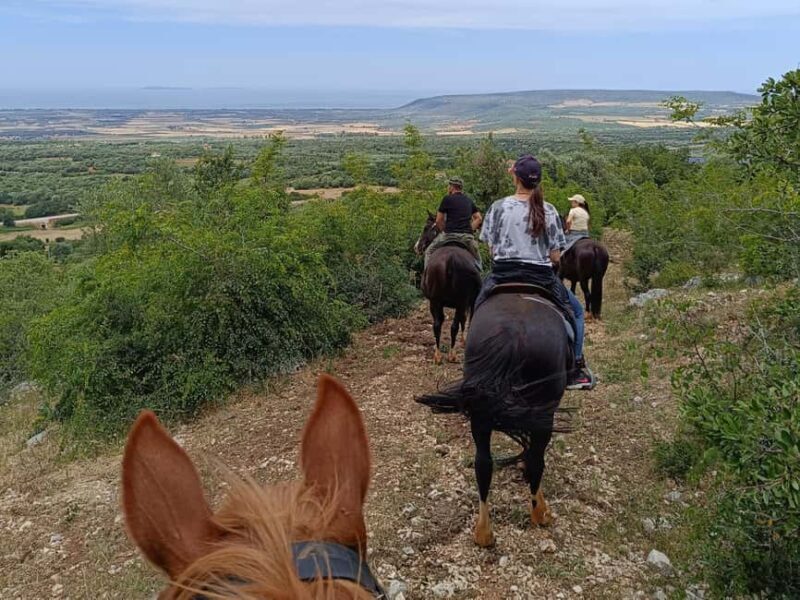Gargano National Park: a horseback ride - Pricing and Overall Value