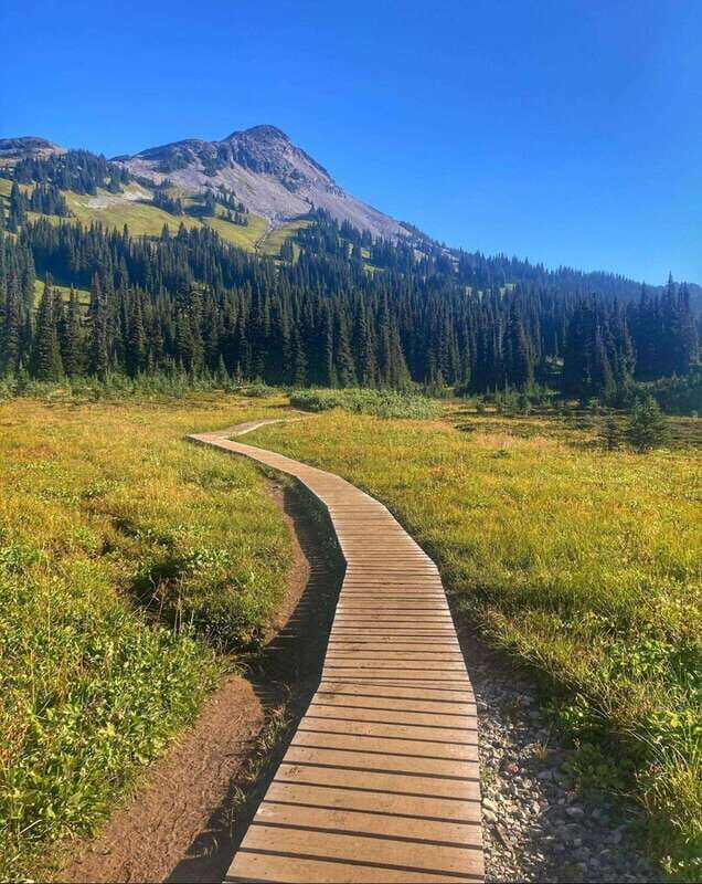 Garibaldi Park/ Panorama Ridge/ Hiking Day Trip - What’s Included and Practical Details