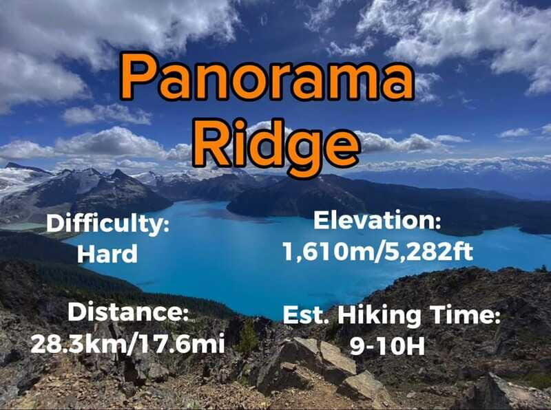 Garibaldi Park/ Panorama Ridge/ Hiking Day Trip - Authentic Insights from Past Participants