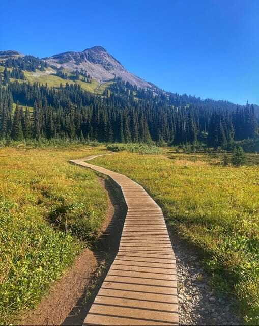 Garibaldi Park/ Panorama Ridge/ Hiking Day Trip - Final Thoughts: Is This Tour for You?