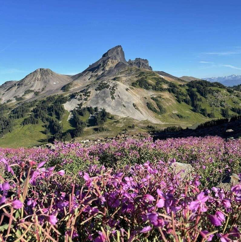 Garibaldi Park/ Panorama Ridge/ Hiking Day Trip - FAQs