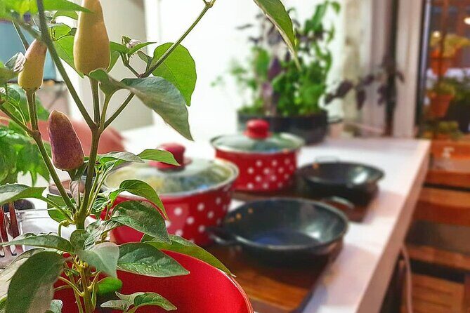 Gastro and History Jewels Experience in Split - The Sum Up