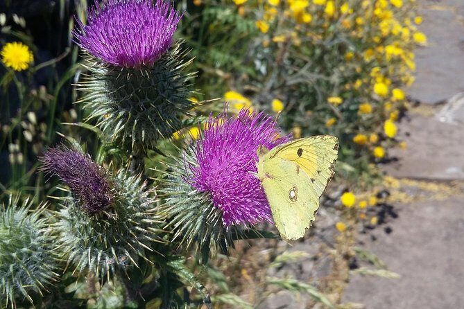 Gastro hike (Private Tour) - Final Thoughts