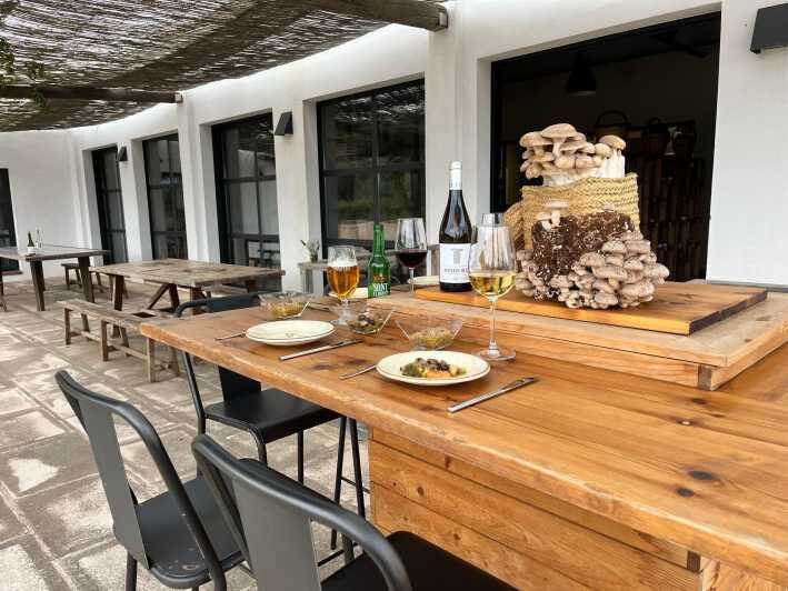 GASTRONOMIC MUSHROOM EXPERIENCE. Tour not included - Final Thoughts: Is It Worth It?