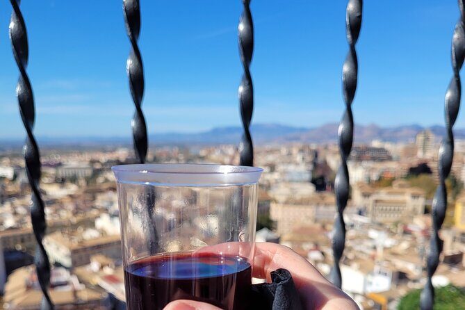 Gastronomic Route & Tasting Menu at the Viewpoints of Granada - The Sum Up