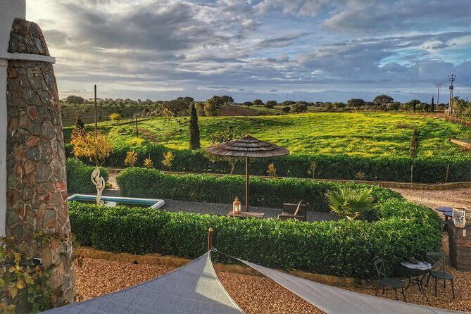 Gastronomic Wine tasting in Mértola, Alentejo - Why This Tour Works