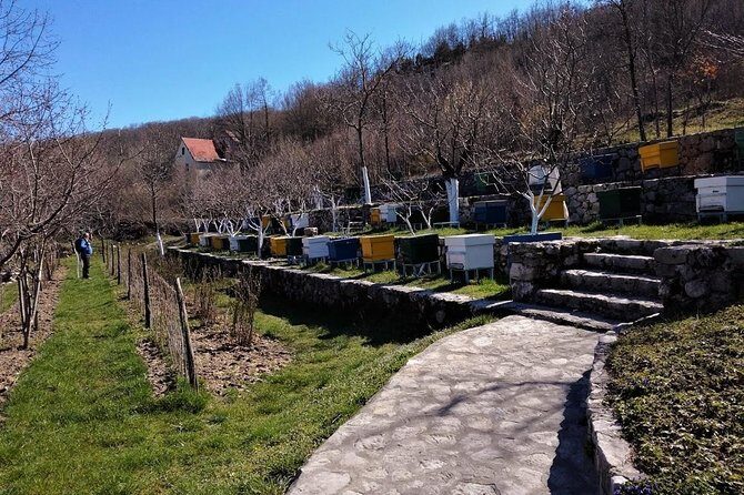 Gastronomy and Sightseeing in Montenegro - Lake Skadar & Cetinje Private Tour - Key Points