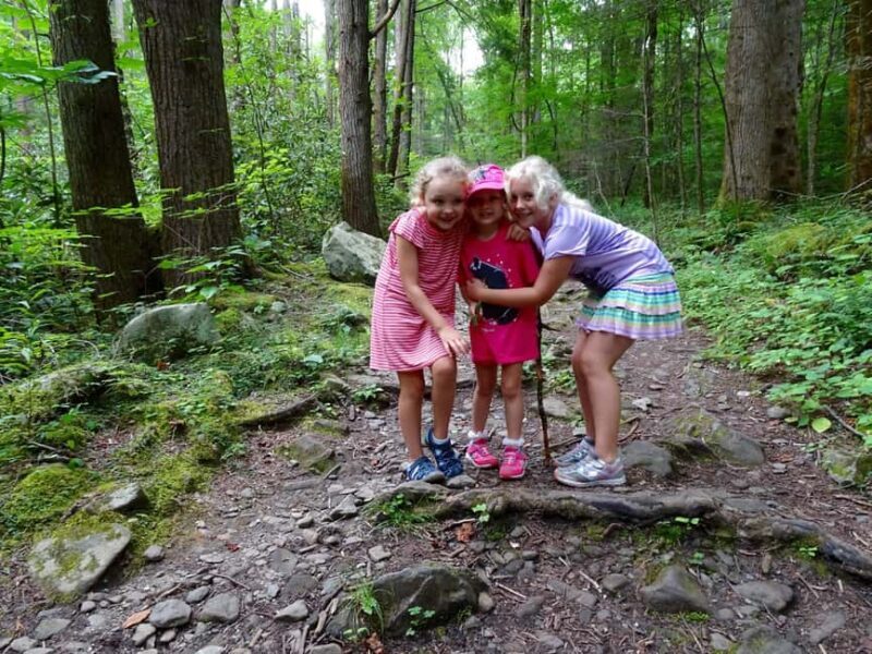 Gatlinburg: Adventure Hike and Craft for Kids - A Closer Look: What You Can Expect from the Tour