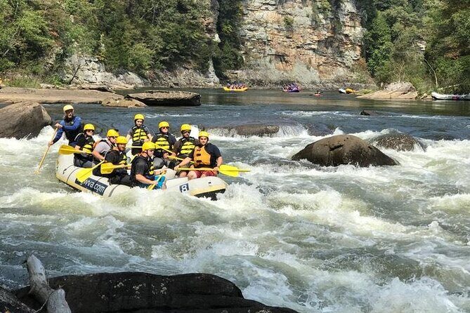 Gauley River Whitewater Rafting Marathon (Fall Only) - Who Will Love This Tour?