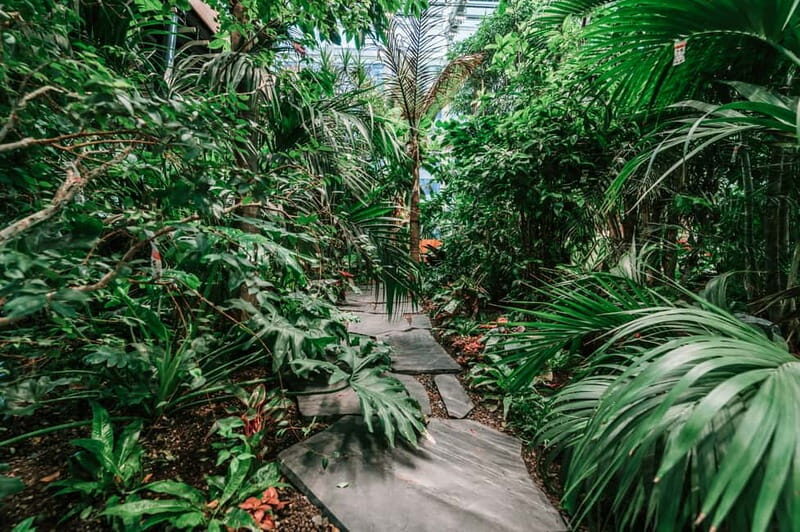 Gdask: Olivia Star Sky-High Views, Dinner, and Cocktails - The Sum Up