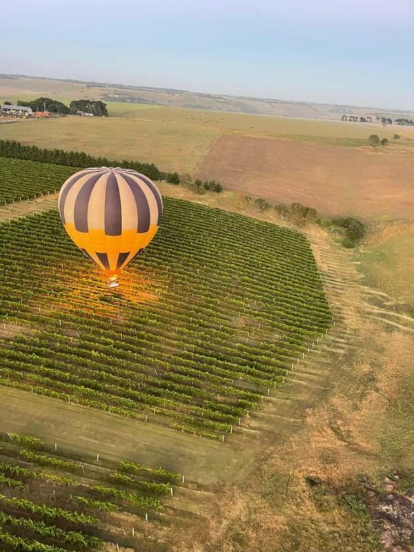 Geelong Hot Air Balloon Flight - The Experience on the Ground and in the Air