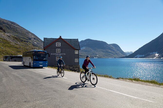 Geiranger: Sky to Fjord Downhill Biking Adventure - The Journey: From Mountain Top to Fjord Floor