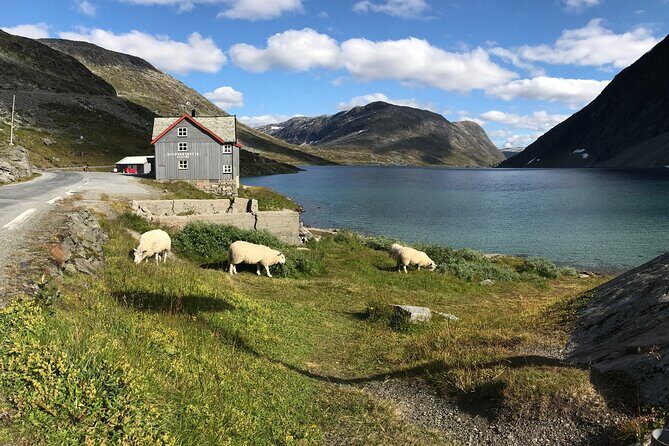 Geiranger: Sky to Fjord Downhill Biking Adventure - FAQ